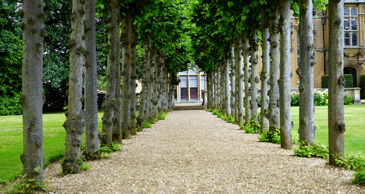 Landscape Architecture vs Landscape Design? | J. Duggan & Associates